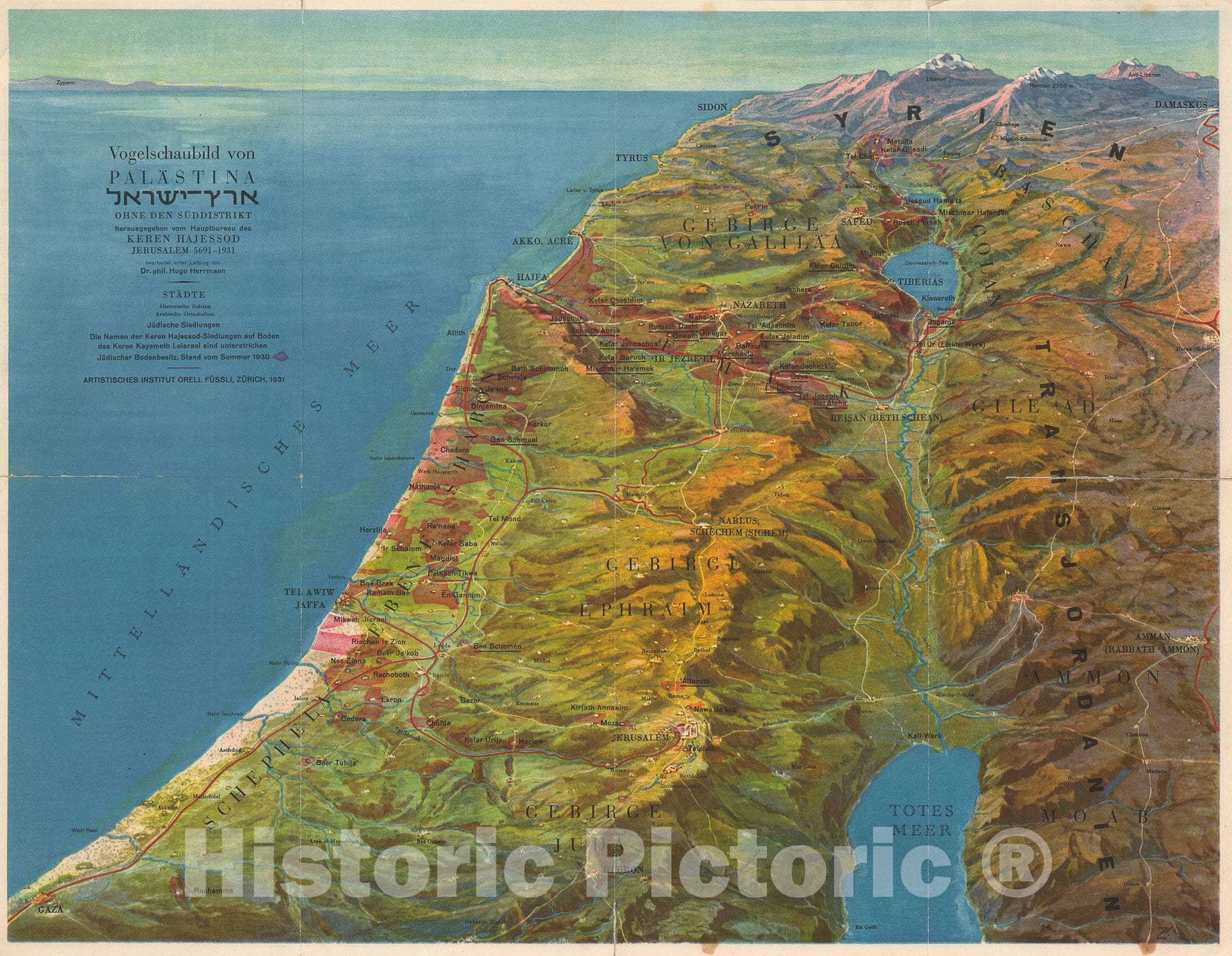 Historic Map : Bird's Eye View Israel / Palestine, Herrmann, 1931, Vin ...