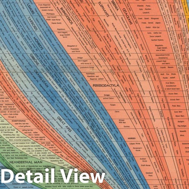 Historic Map : The Histomap of Evolution, 1942, Vintage Wall Decor ...