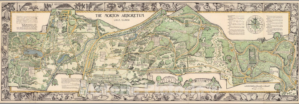 Historic Map : The Morton Arboretum, Lisle, Illinois., 1950, Vintage W ...