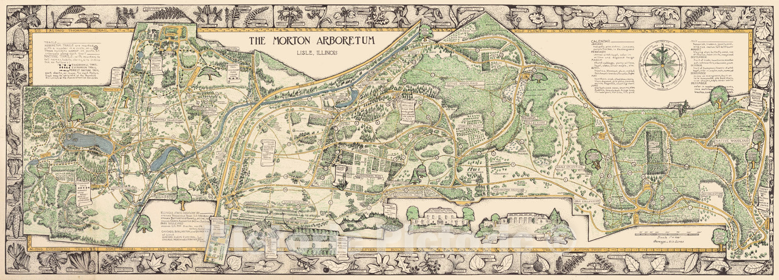 Historic Map : The Morton Arboretum, Lisle, Illinois., 1950, Vintage W ...