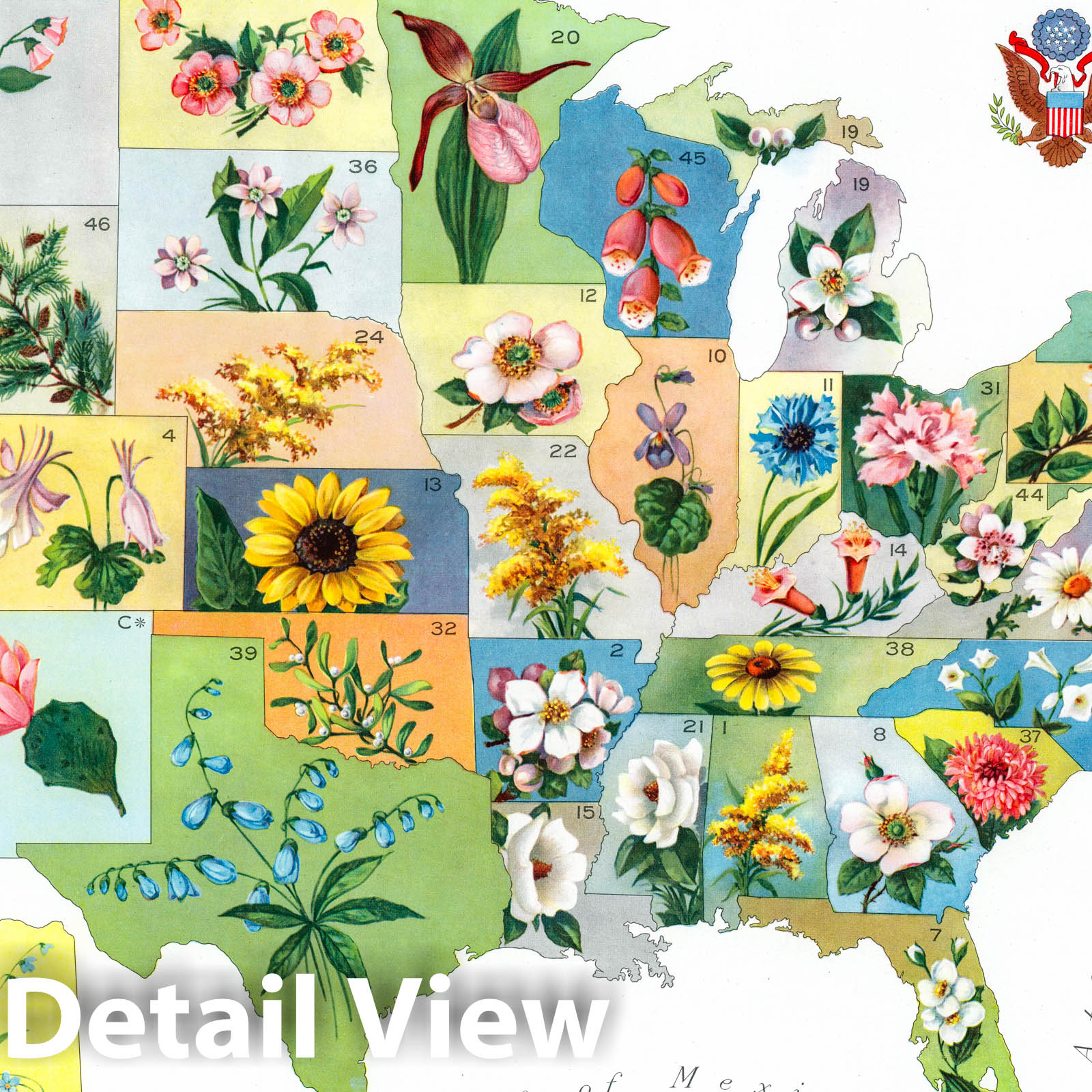 Historic Map : Our national bouquet. Copyright, 1911, by U.S. State Fl ...