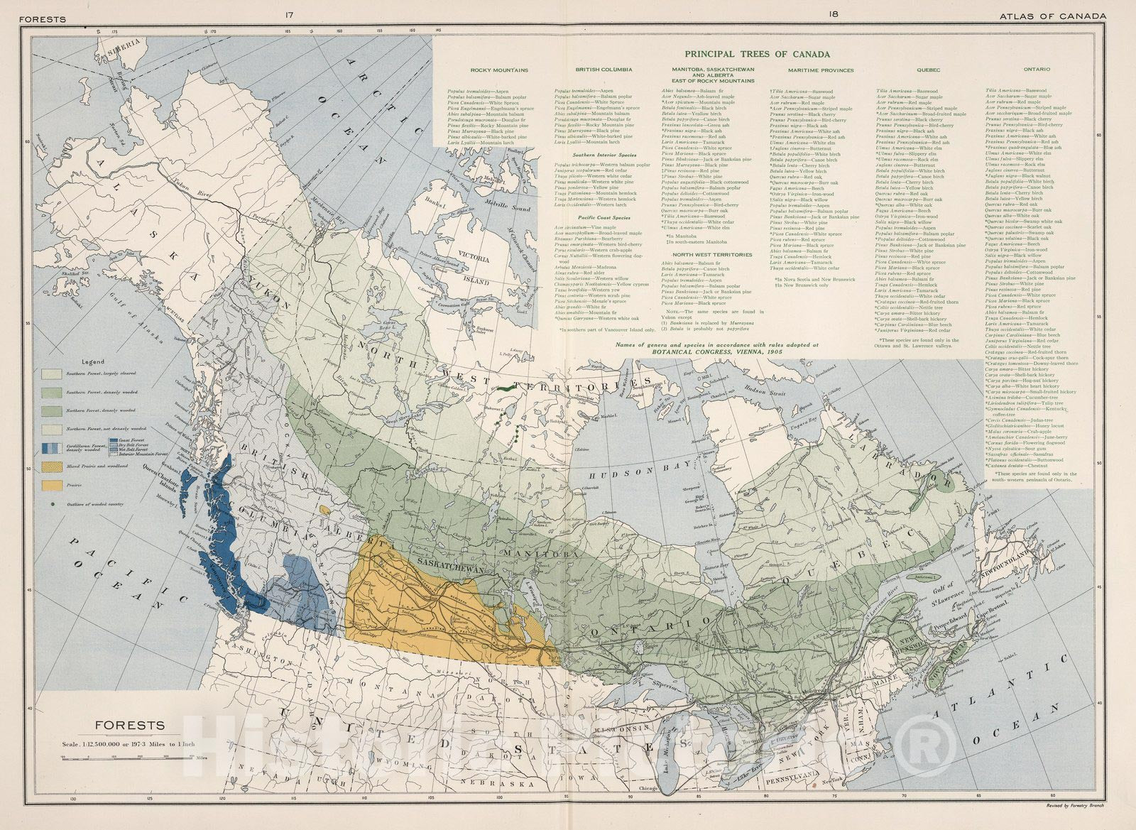 Historic Map : Forests 1915 - Vintage Wall Art – Historic Pictoric