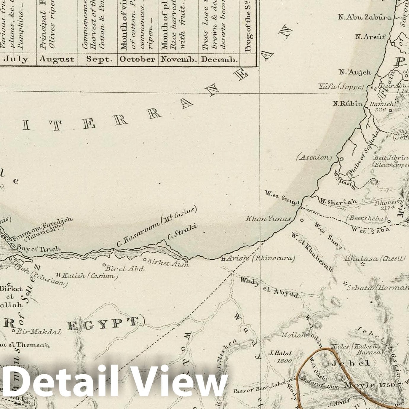 Historic Map : 1850 Palestine - Physical Geography. - Vintage Wall Art ...