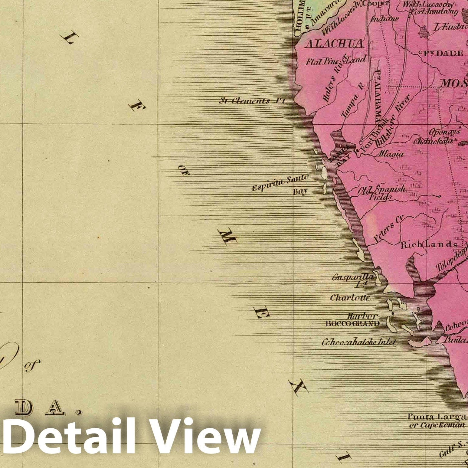Historic Map : 1840 Map of the Territory of Florida. - Vintage Wall Ar ...