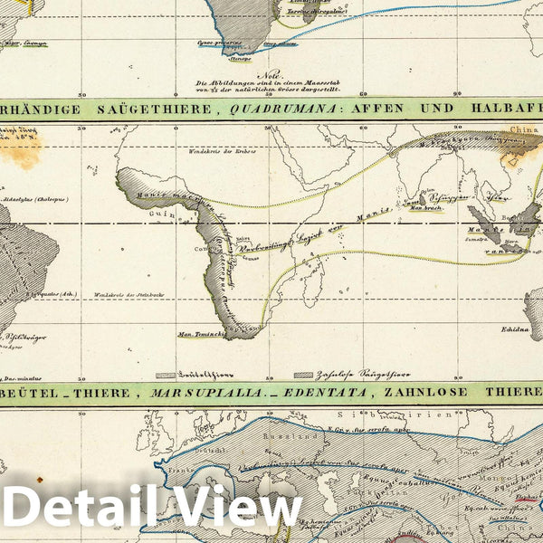 Historic Map : 1845 Geographische Verbreitung. - Vintage Wall Art ...