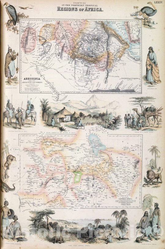 Historic Map : 1872 Countries In The Northern Tropical Regions of Afri ...