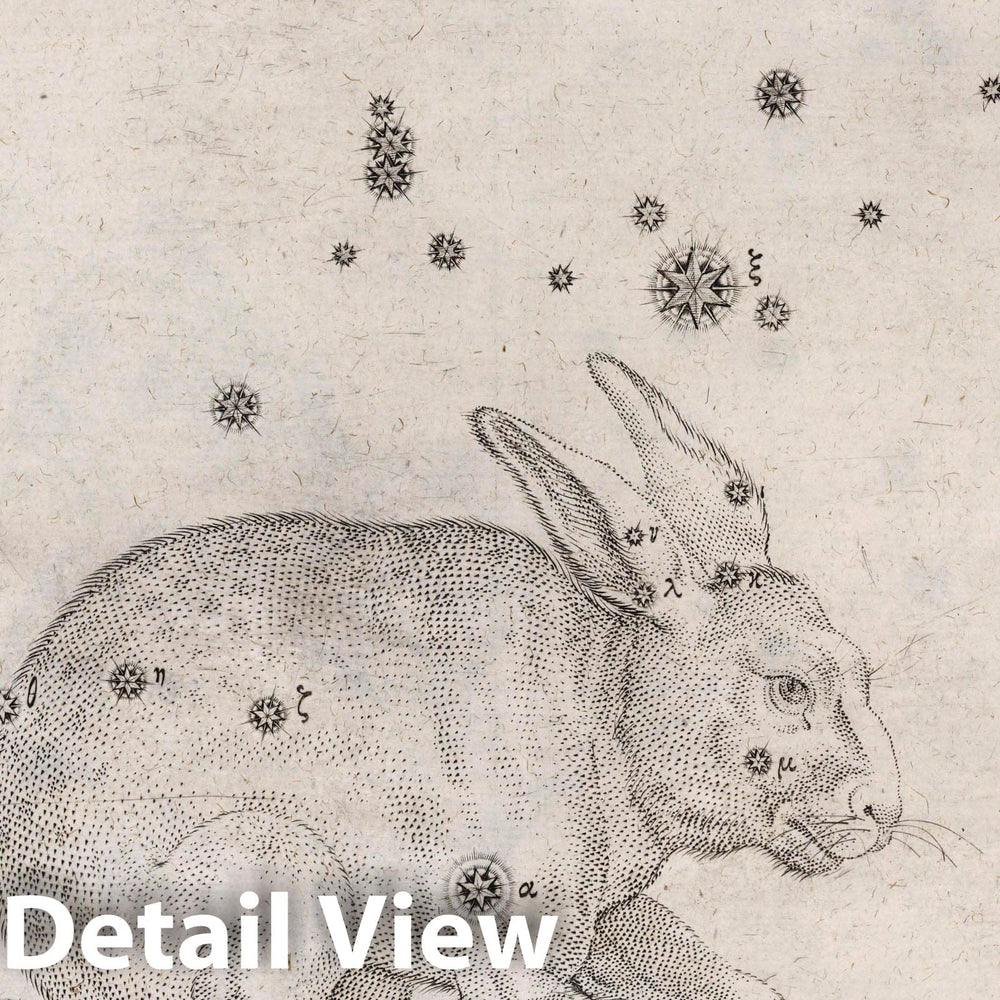 Historic Map : Constellation: Lepus, The Rabbit, 1655 Celestial Atlas ...