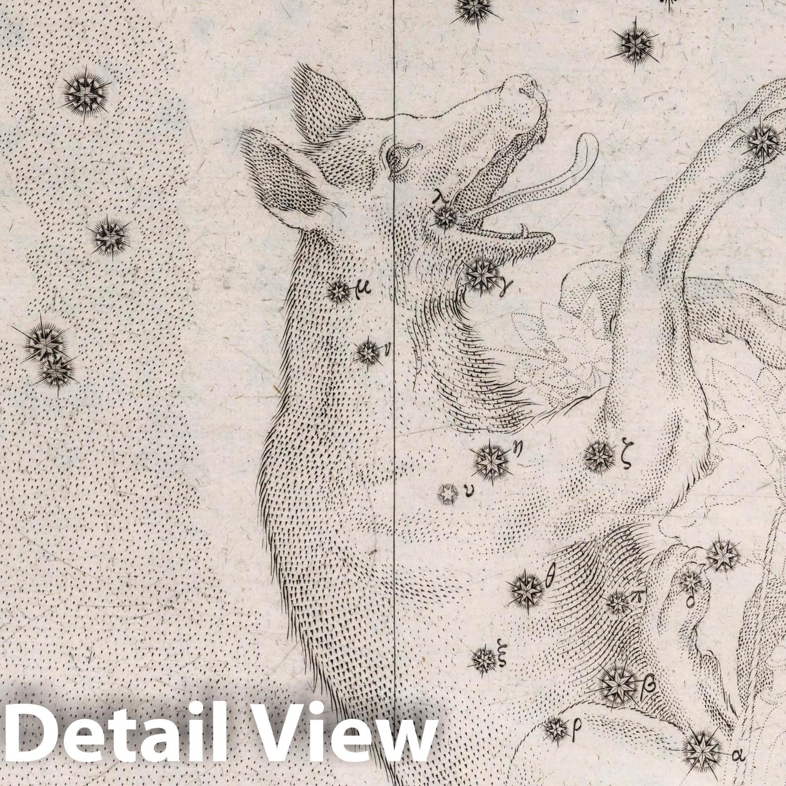 Historic Wall Map : Constellation: Lupus, The Wolf, 1655 Celestial Atl ...