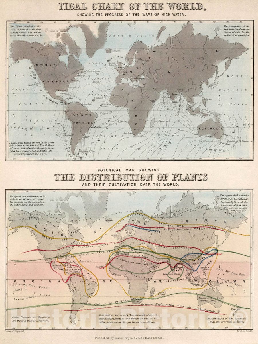 Historic Map : Distribution of The Currents of air and Variable Winds ...