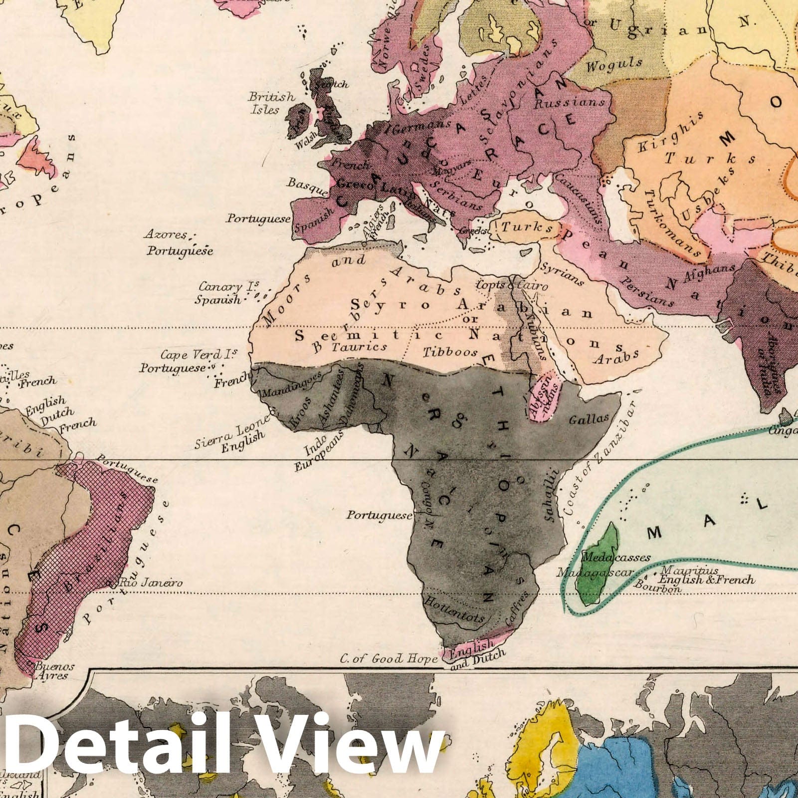 Historic Map : Ethnographical map Showing The Distribution of The Huma ...