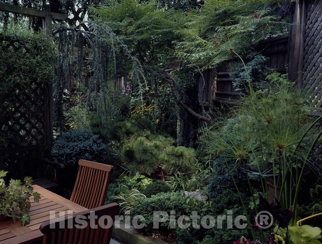 Virginia Photo - Garden Scene in Northern Virginia - Historic Pictoric