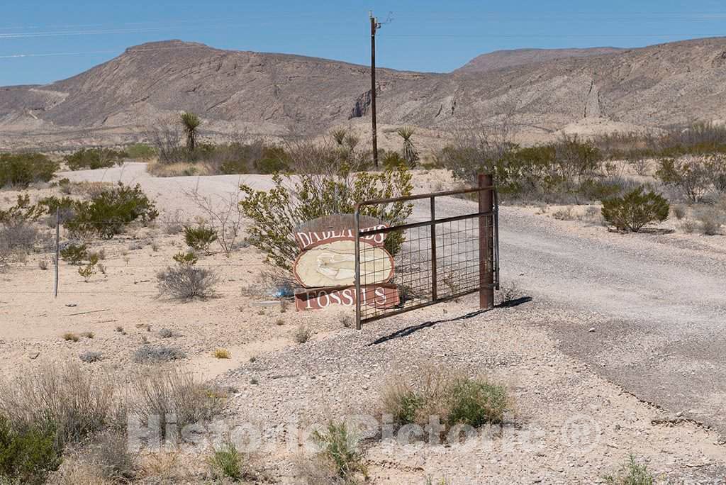 Photograph- Dilapidated sign and gate announcing"Badlands Fossils" sta ...