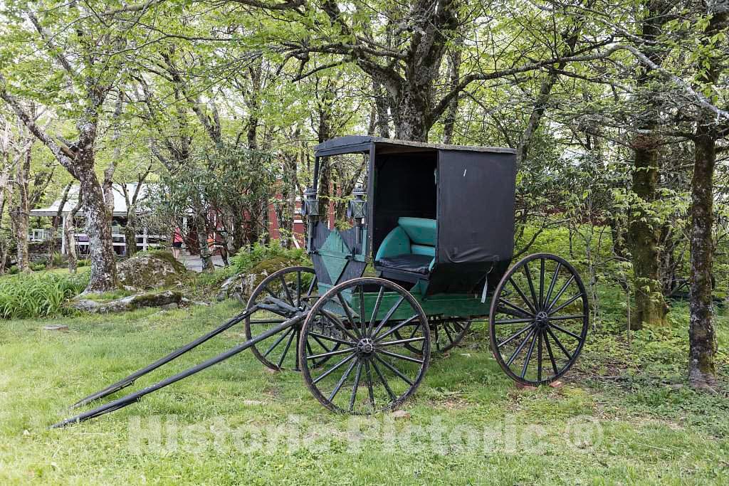 Photo - Carriage Along The Yellow Brick Road at The Land of Oz, an Unu ...