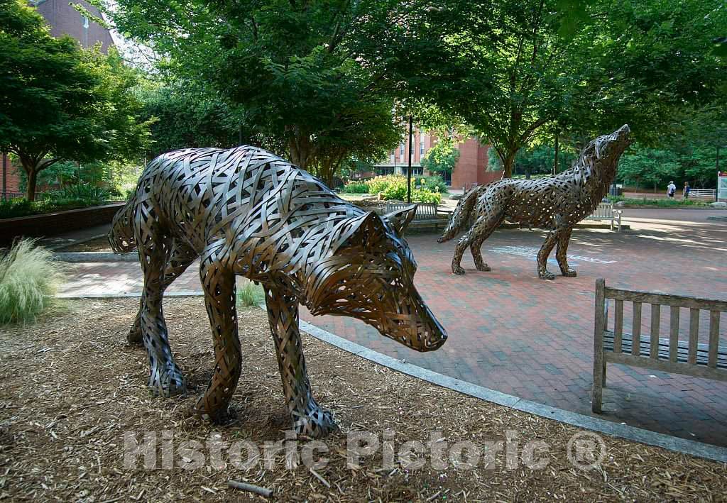 Photo - Two of a Group of Wolf Sculptures at North Carolina State Univ ...